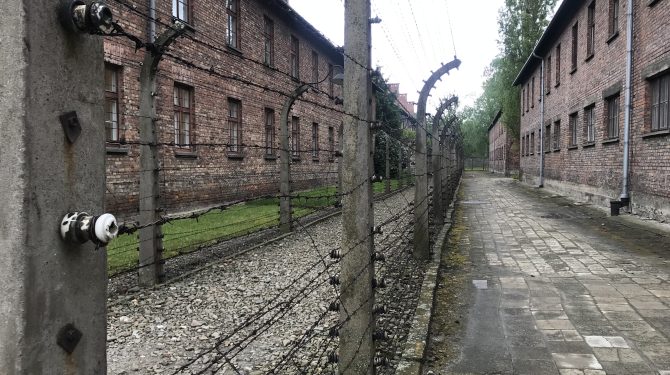 Holocaust Memorial Day Trust | Dorit Oliver-Wolff BEM